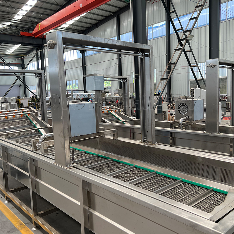 Frozen French Fries Production Line - food processing solutions supplier