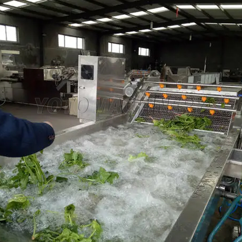 Multifunctional Bubble Cleaning Machine - food processing solutions ...