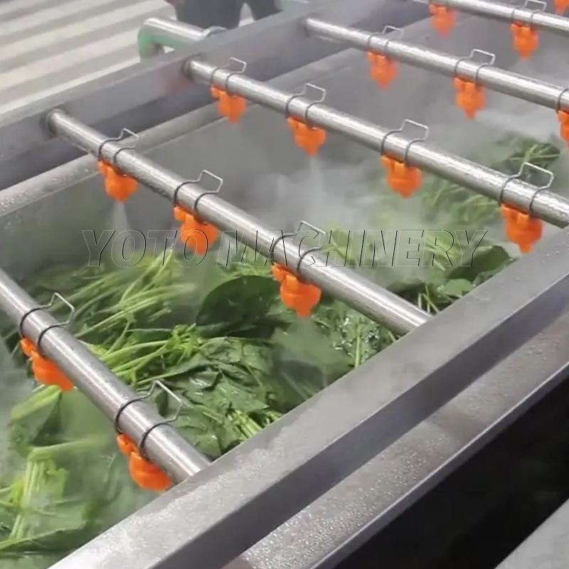 Vegetable Washing Production Line - food processing solutions supplier