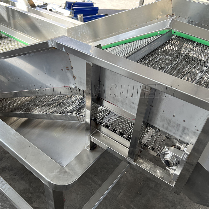 Vegetable Washing Production Line - food processing solutions supplier