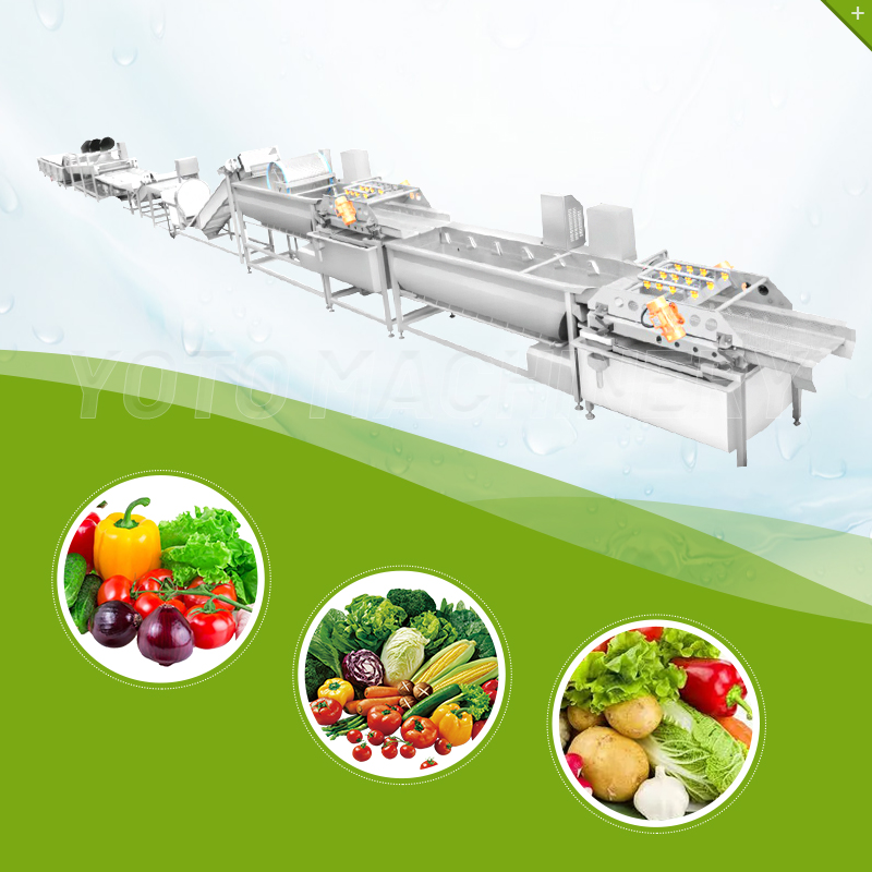 Vegetable Washing Production Line - food processing solutions supplier