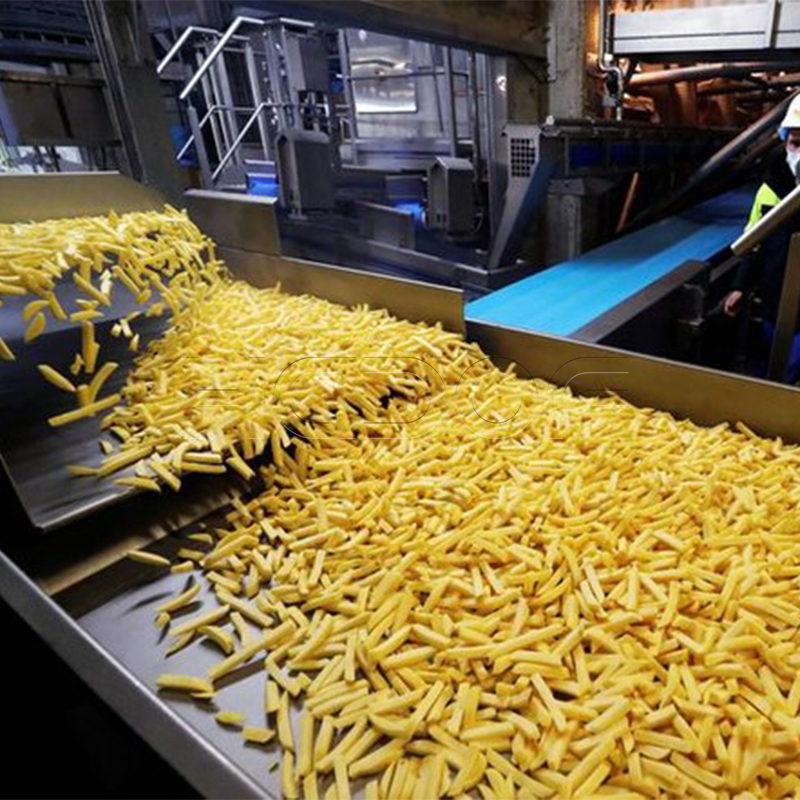 French Fries Production Line - food processing solutions supplier