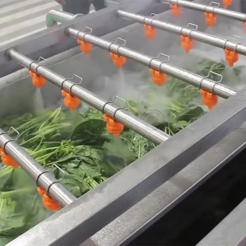 Vegetable Washing Production Line - food processing solutions supplier