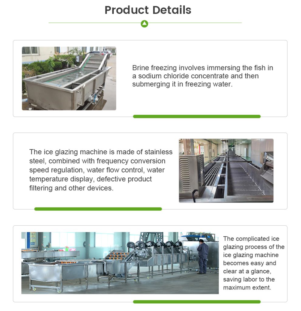 Ice Glazing Machine - food processing solutions supplier